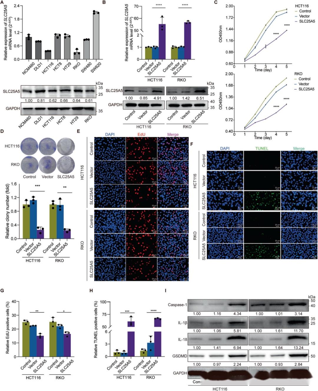 单基因玩腻了？要不试试基因家族？基因家族单肿瘤SCI新玩法！ - 知乎