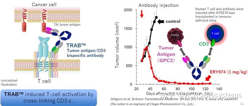 【AACR 2023】免疫检查点双抗潜力几何？ - 知乎