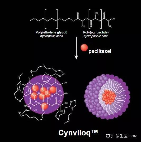 紫杉醇制剂的迭代之路 - 知乎