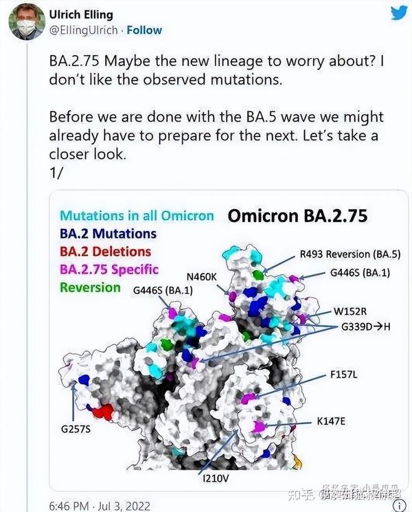 澳洲出现Omicron新变种“半人马”，毒性强于BA.5，或为迄今最强毒株 - 知乎