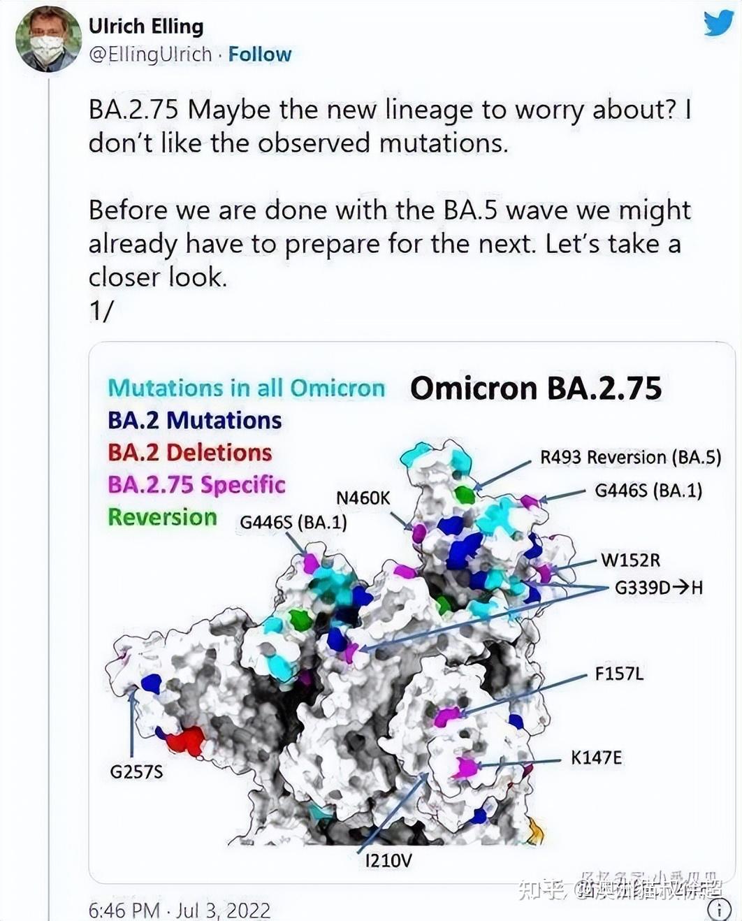 澳洲出现Omicron新变种“半人马”，毒性强于BA.5，或为迄今最强毒株 - 知乎