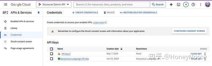 如何在 Discourse AI 中设置 Gemini API - 知乎
