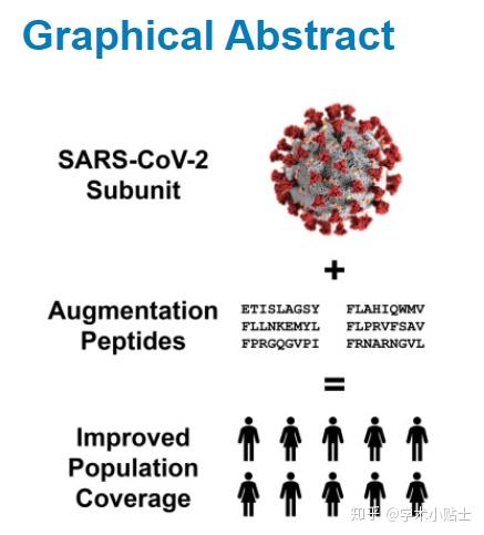 图文摘要|一篇赏心悦目的论文,从Graphical Abstract开始! - 知乎