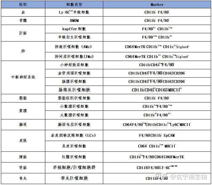 【罗工流式宝典第15式】mouse常见研究样本类型中巨噬细胞标志物的选择 - 知乎