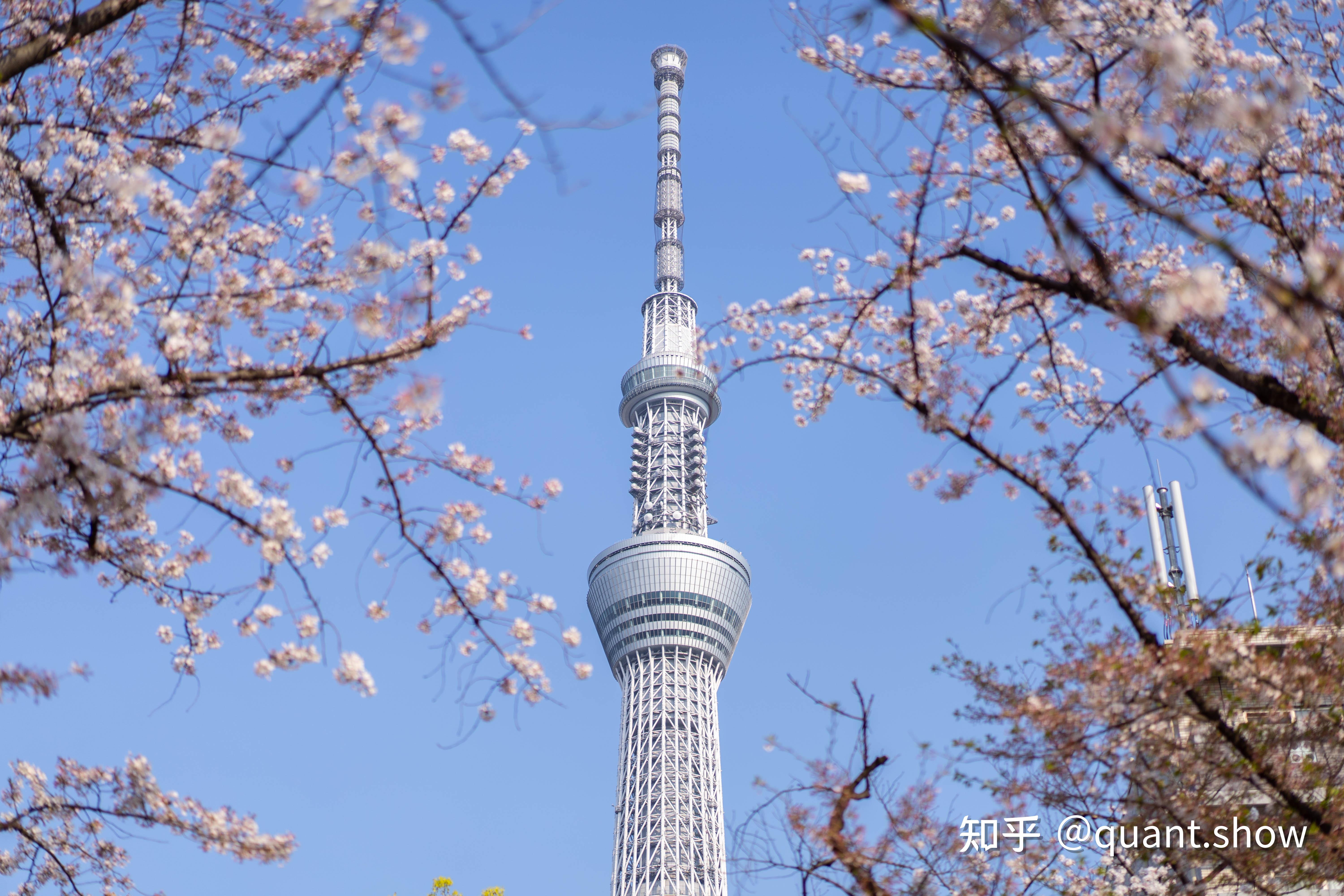隅田川花見机位 - 知乎
