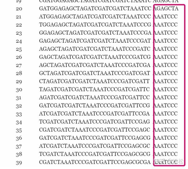 MINIMIZER详细介绍 - 知乎