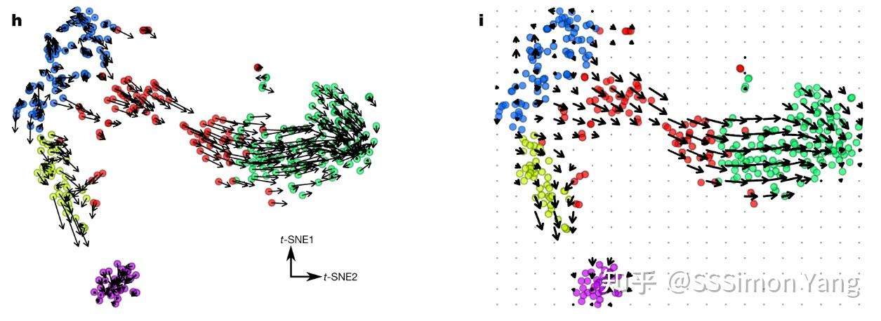 2020-011 RNA velocity of single cells - 知乎