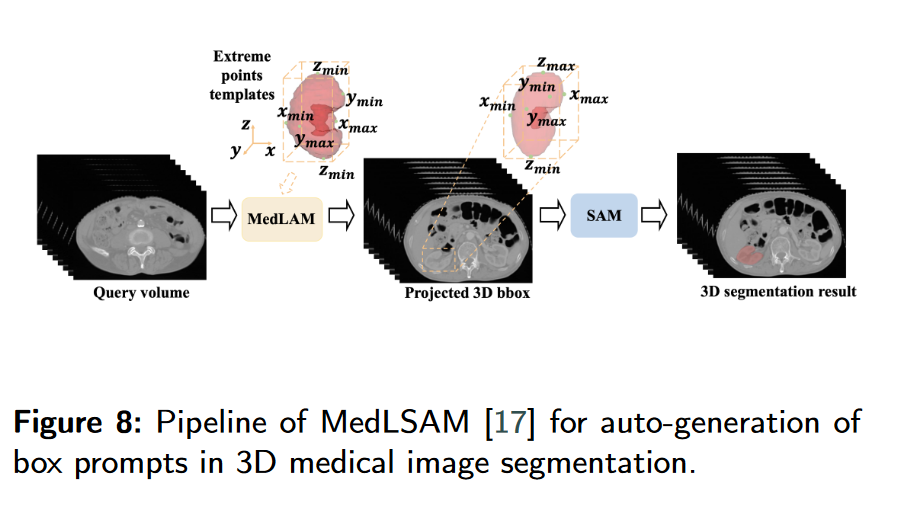SAM在医学影像中的应用（最新） - 知乎