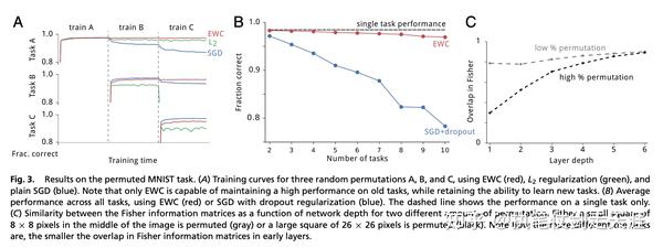 EWC：Overcoming catastrophic forgetting in neural networks论文解读 - 知乎