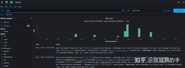 开源网络流量与日志分析-ELK+elasticflow - 知乎