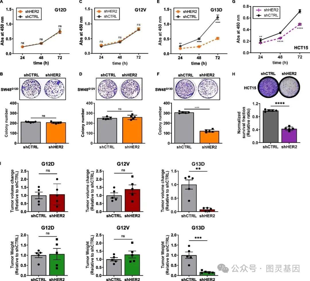 Mol Cancer | 突破性发现：靶向 HER2-ELF3-KRAS 轴为 KRAS G13D 结直肠癌提供精准治疗新策略 - 知乎