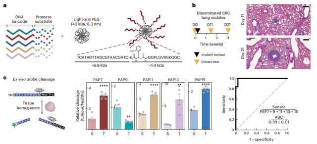 《nature子刊》！合成生物标志物用于非侵入性癌症检测 - 知乎