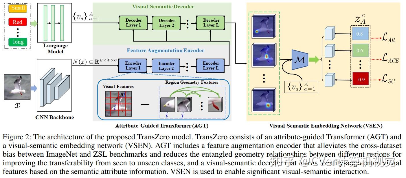 AAAI 2022 | TransZero：用于零样本学习的属性引导Transformer - 知乎