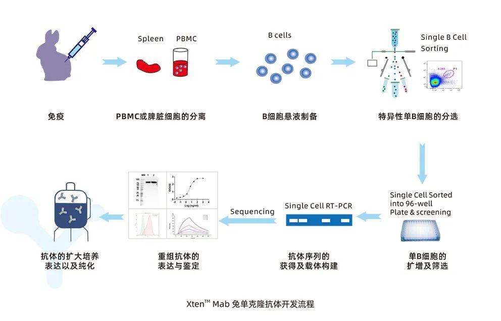 技术分享第27期 终于有人把主流的单抗开发平台总结清楚了 知乎