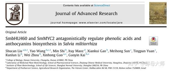 J ADV RES|浙江中医药大学研究团队用Y1H技术SmbHLH60 和 SmMYC2 拮抗调节丹参中酚酸和花青素的生物合成 - 知乎