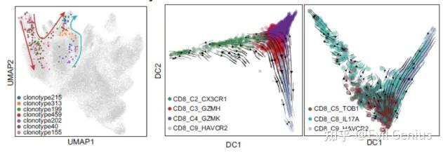 单细胞空间数据分析之VDJ与肿瘤 - 知乎