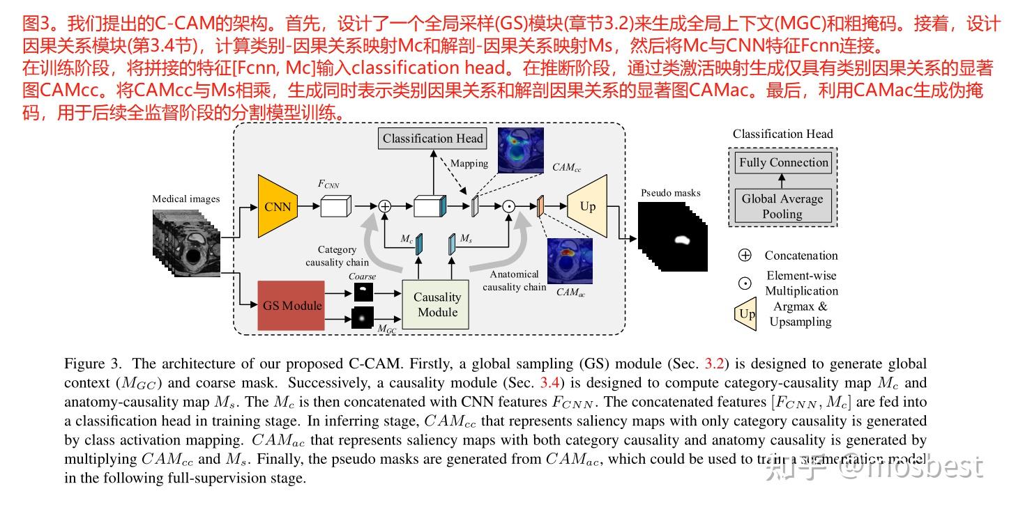 CVPR: C-CAM: Causal CAM for Weakly Supervised Semantic Segmentation on Medical Image - 知乎