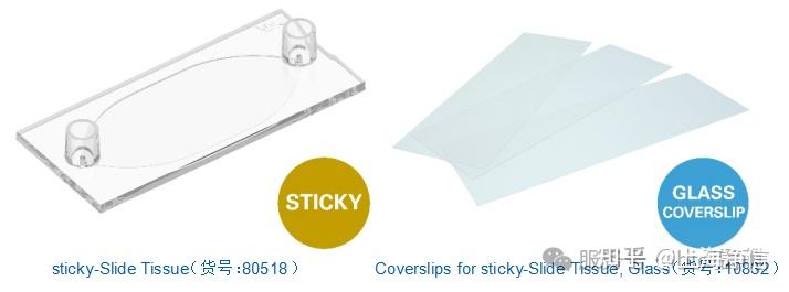 ibidi sticky-Slide Tissue简化且标准化您的组织染色方案！ - 知乎