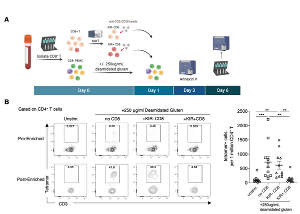 清华校友首次在人体中发现具有调节功能的CD8+T细胞亚群，对于自身免疫病的新药开发具有重要意义 - 知乎