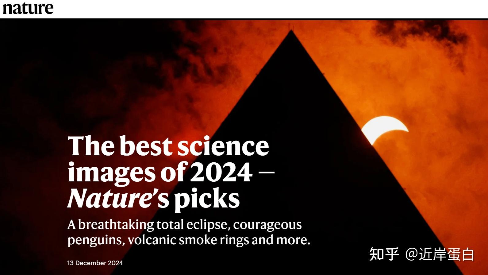 Nature 2024 最佳科学图片有哪些是关于类器官的？ - 知乎