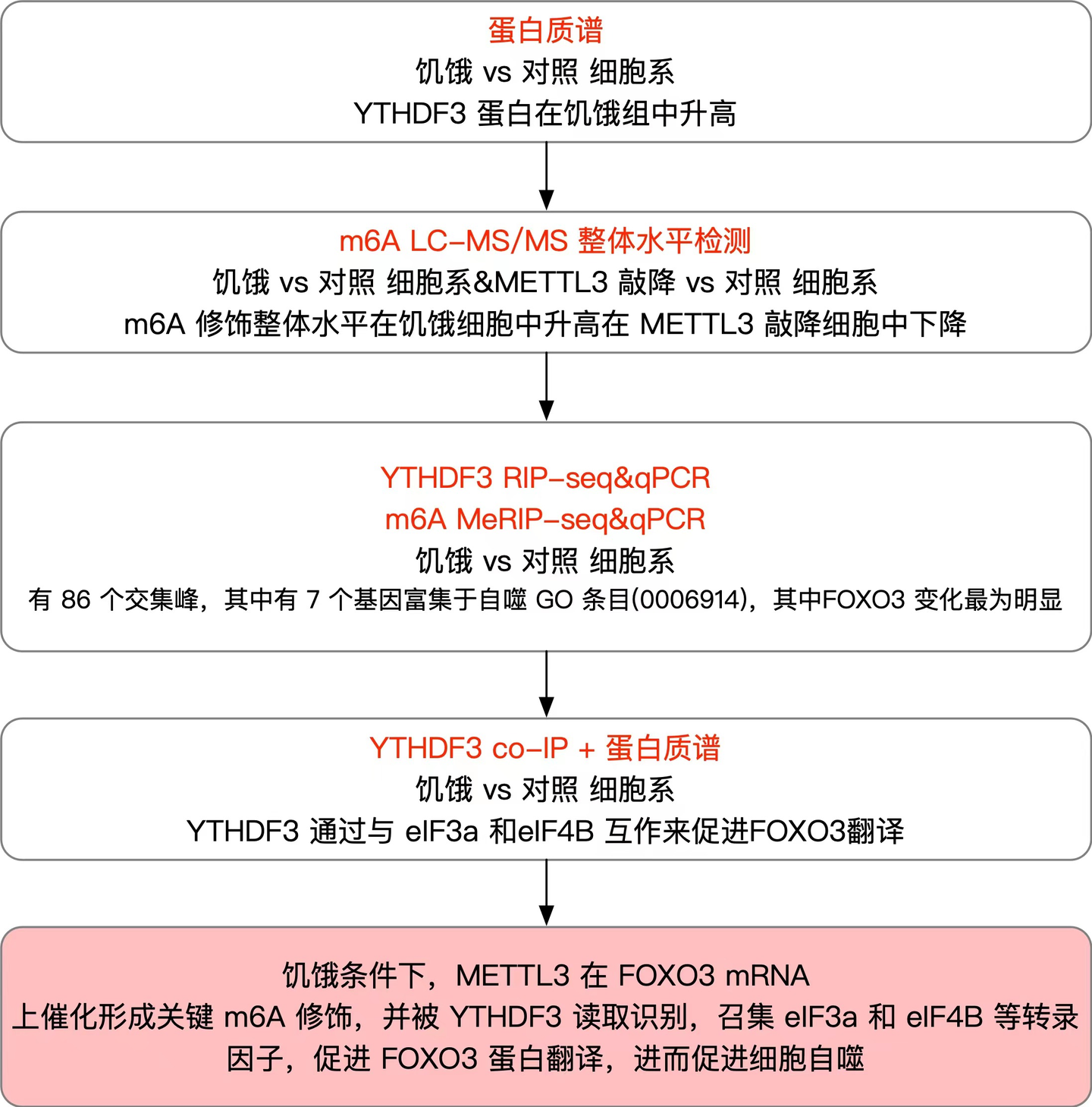 用户文章|1区 IF=17.694:m6A MeRIP-seq 助力饥饿条件下的细胞自噬研究 - 知乎