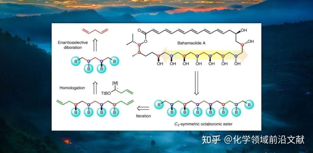 Nat. Chem.：1,3-聚硼酸酯的高立体控制合成及全合成应用 - 知乎