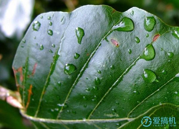 续航爆表的全金属千元机，魅蓝note 3评测 - 知乎