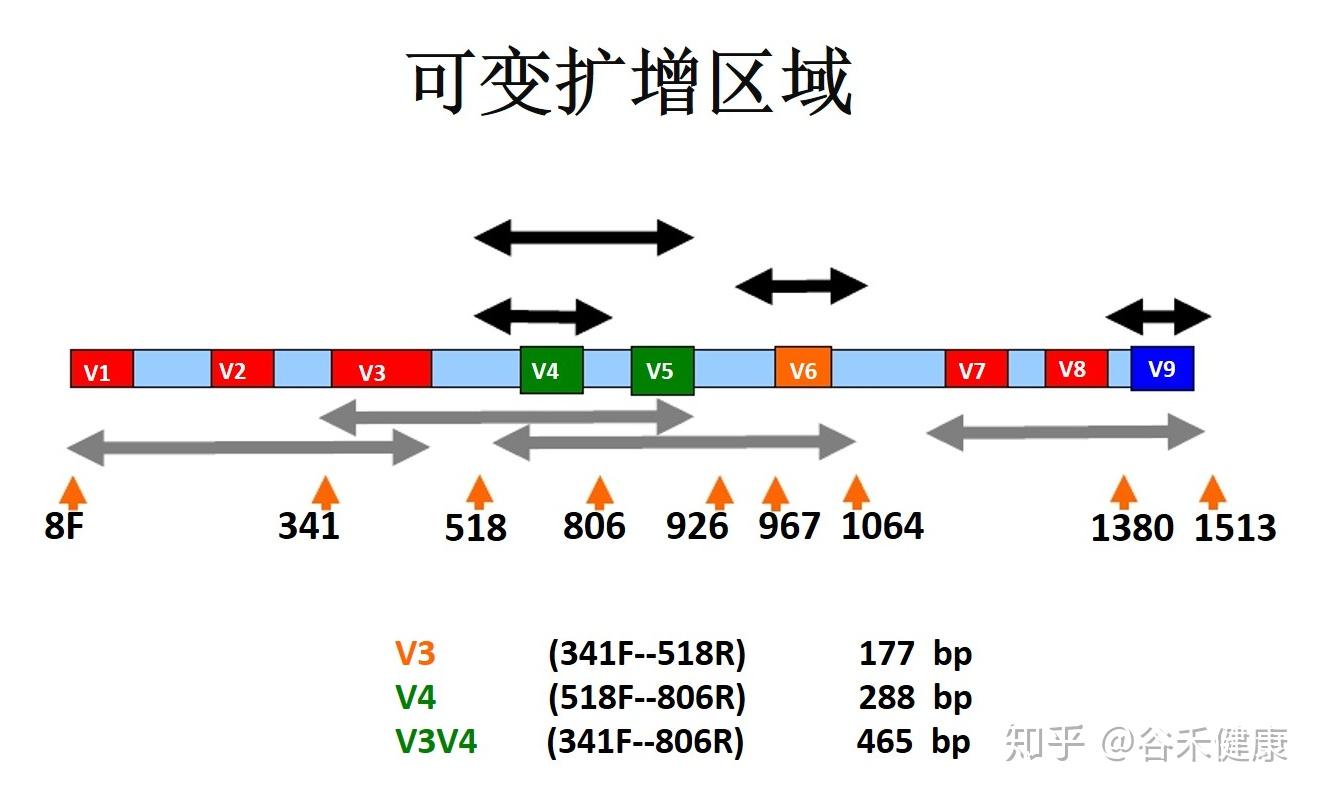 如何读懂和利用你的微生物多样性测序结果？ - 知乎