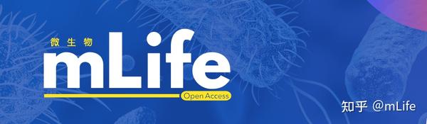 mLife | Editorial——成功启航，未来可期 - 知乎