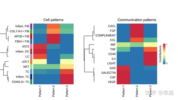 CellChat细胞通讯分析（中）--实操代码（单个样本） - 知乎