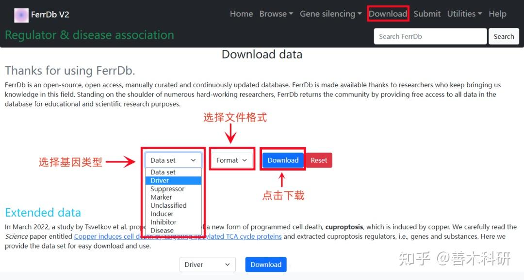 超好用的铁死亡数据库——FerrDb保姆及教学 - 知乎