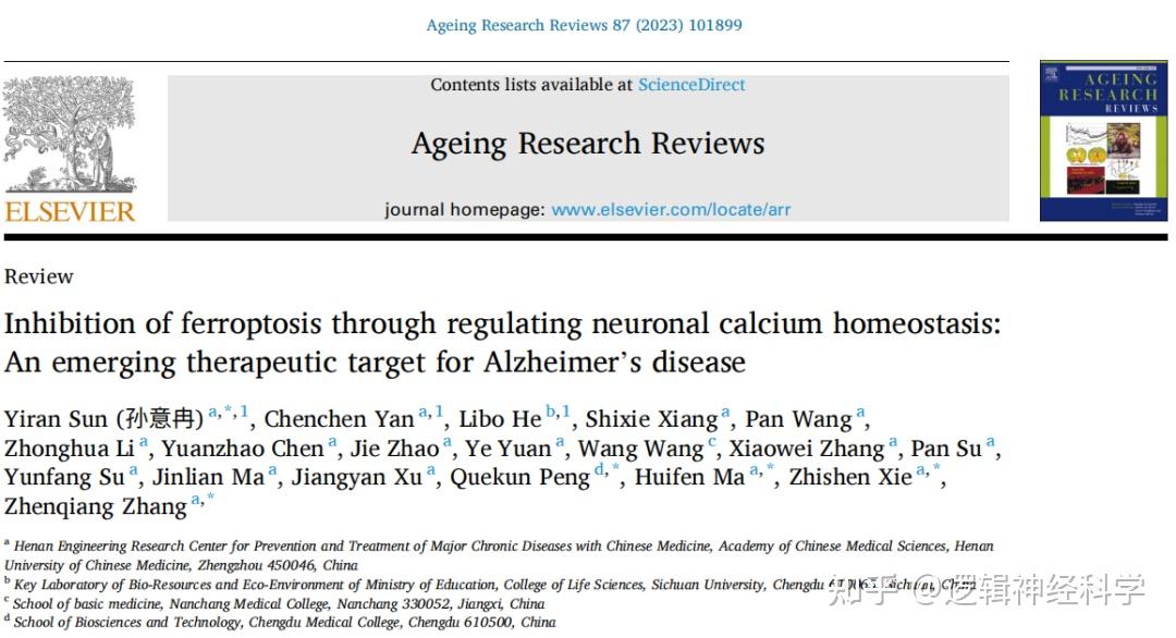 Ageing Res Rev 综述︱河南中医药大学孙意冉/鄢晨晨等评述靶向调节神经元钙稳态抑制铁死亡：阿尔茨海默病治疗的新兴靶点 - 知乎