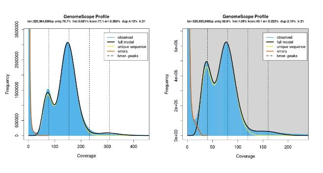 干货！一文教会你，如何判断你的研究物种是同源or异源！ - 知乎