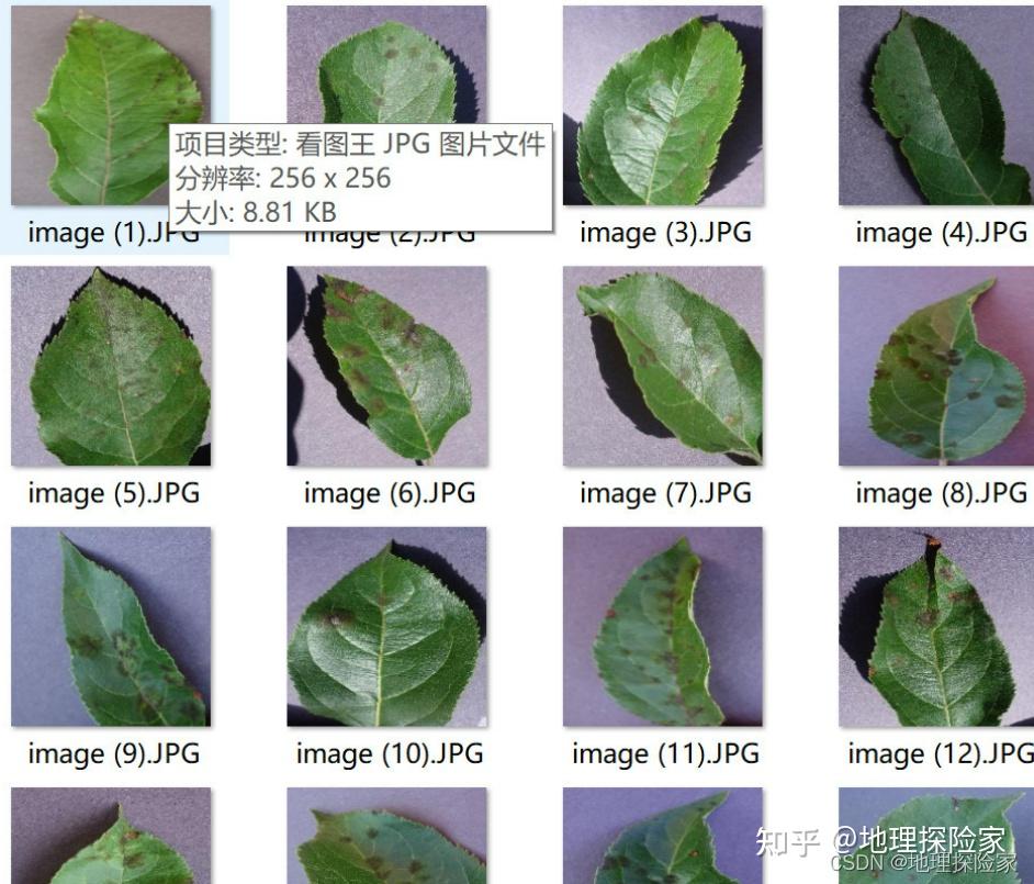 深度学习——植物、农作物图像数据集大合集 - 知乎