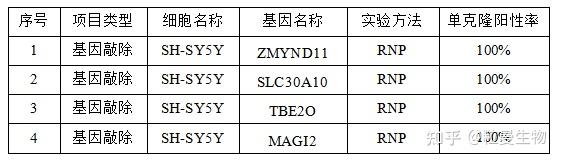 一叶知秋 | SH-SY5Y细胞基因编辑全攻略，助你高效解锁疾病机制，突破神经科学瓶颈！ - 知乎