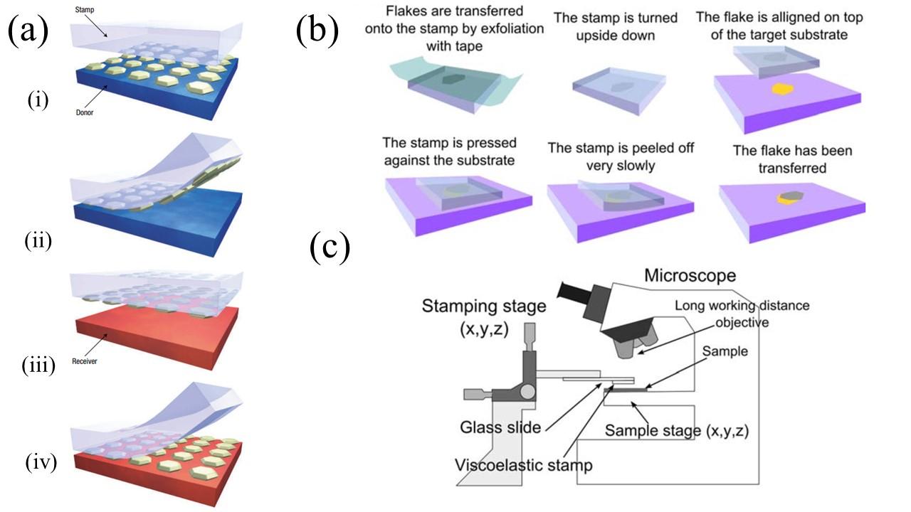 2D vdW异质结的制备方法 - 知乎