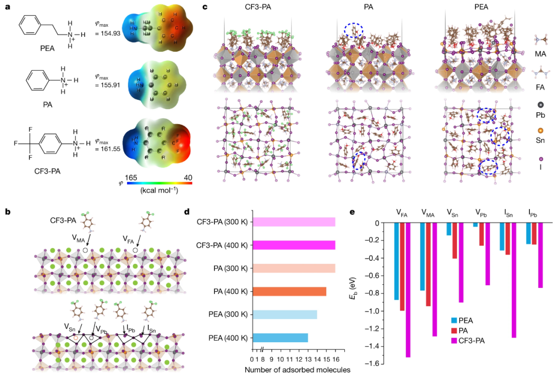 号外！Sargent跳槽啦，任职美国西北大学！盘点2022年在老东家的累累硕果...... - 知乎