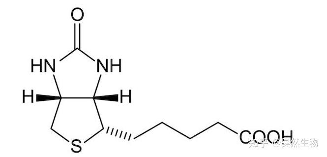 BHQ-2-SeSe-biotin 荧光猝灭剂BHQ-1/3双硒键化生物素 - 知乎