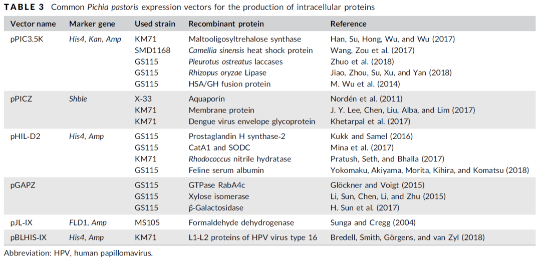 【领康时代CDMO】毕赤酵母 —— 经济、高效、多功能的微生物表达系统 - 知乎
