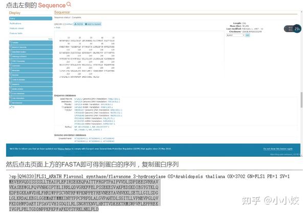 蛋白序列相似度比对 - 知乎