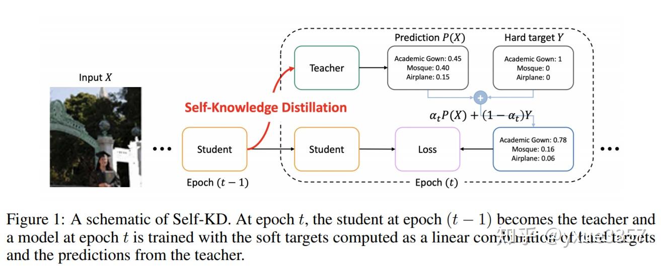 论文串烧：Self-Knowledge Distillation - 知乎