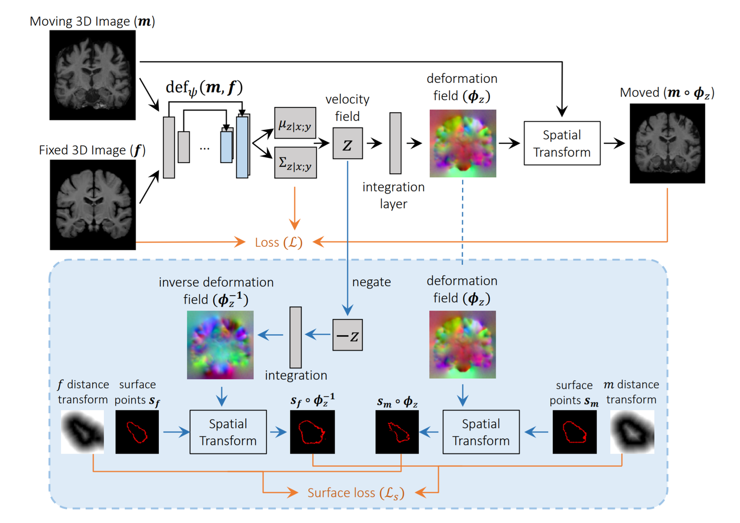 【论文速递11-8】医学图像配准方向优质论文及其代码 - 知乎