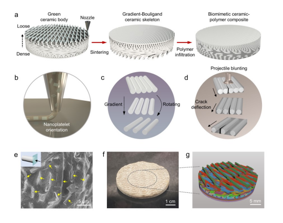 中科大俞书宏院士团队，最新Advanced Materials！ - 知乎