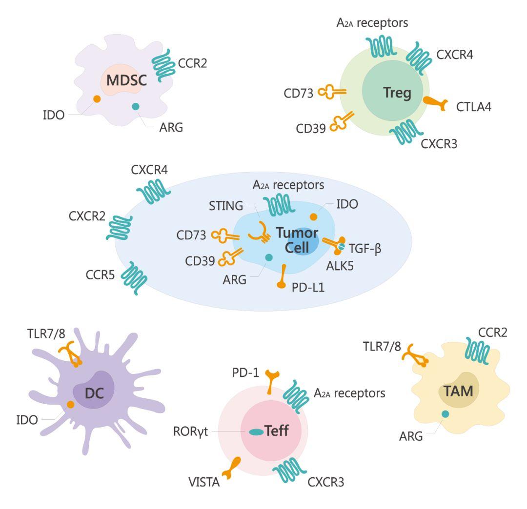 FDA-Approved Mini & Immuno-Oncology Library | MedChemExpress - 知乎