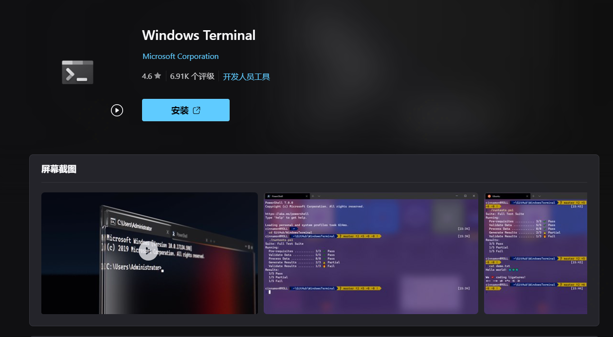 在windows中使用Oh My Posh美化你的终端PowerShell或WSL - 知乎