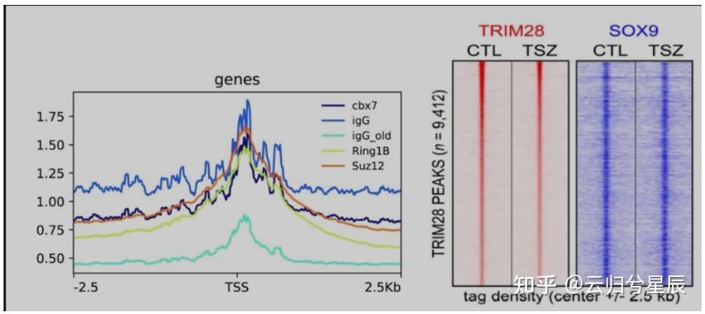 科研人必不可少的chip-seq，尽快收藏 - 知乎