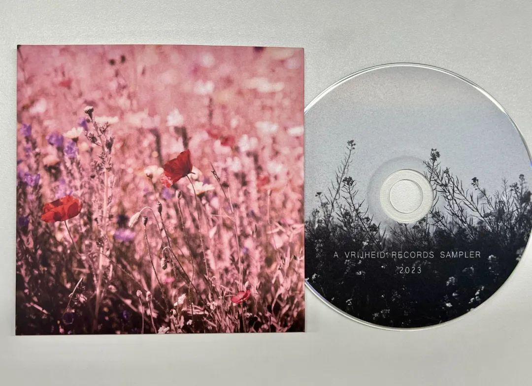 April Rain 新专发布，国内厂牌 Vrijheid Records 将发行实体 - 知乎