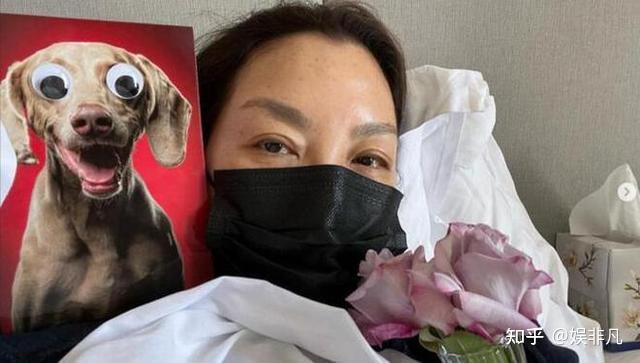 女星杨紫琼确诊新冠，在《警察故事3》中曾说过一句话让人起敬 - 知乎