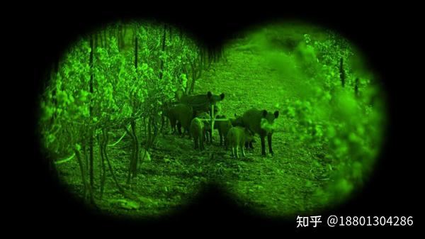 今天讲讲夜视仪的二代增像管 - 知乎