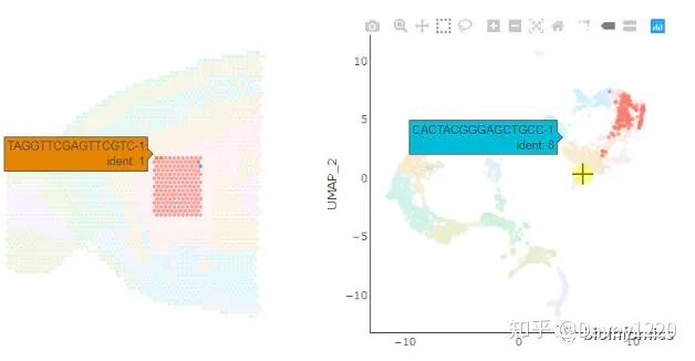 Seurat包学习笔记（三）：Analysis of spatial datasets - 知乎